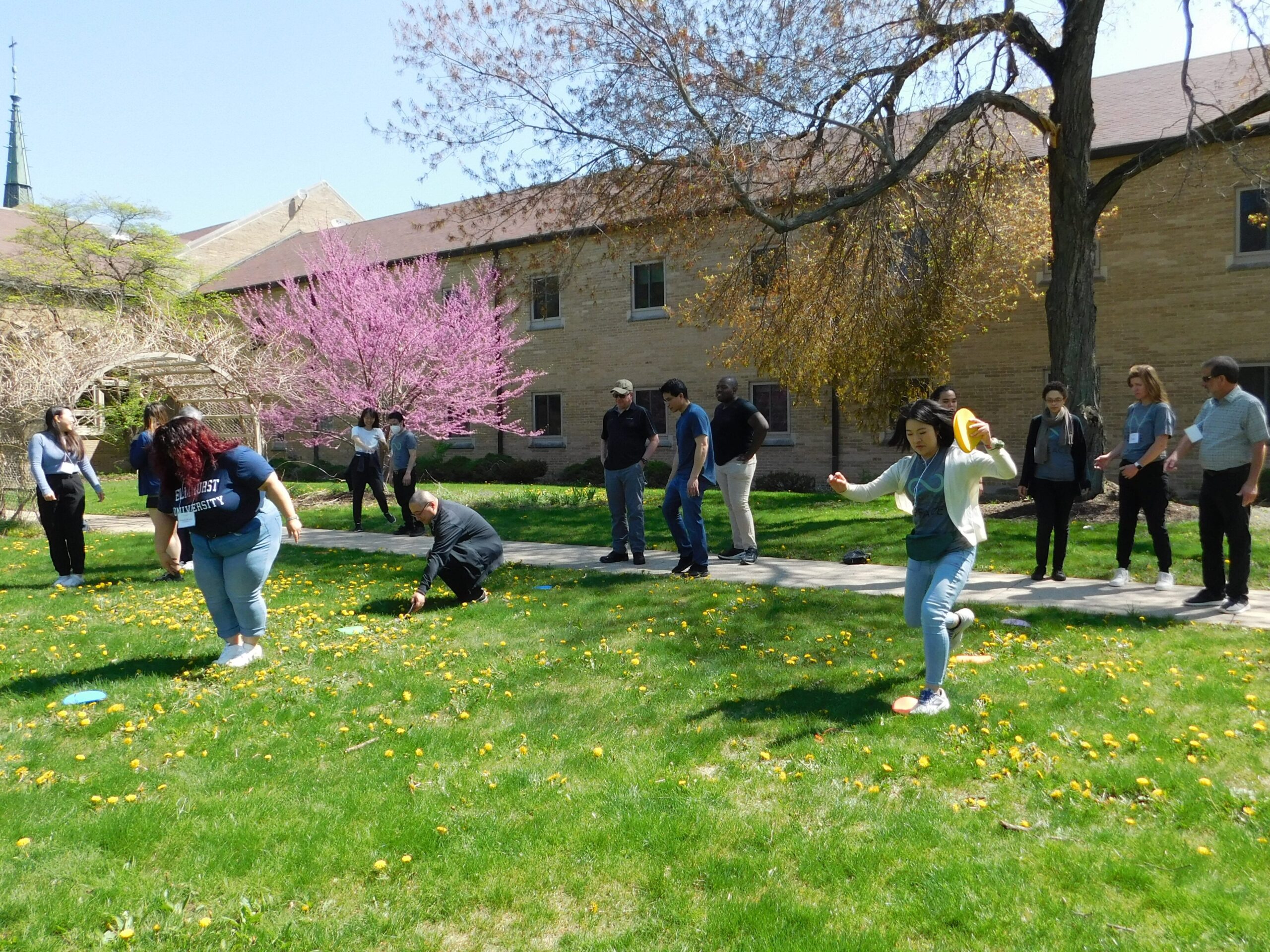 Spring Unveils Renewal: Highlights from the Infinite Paths to Peace ...